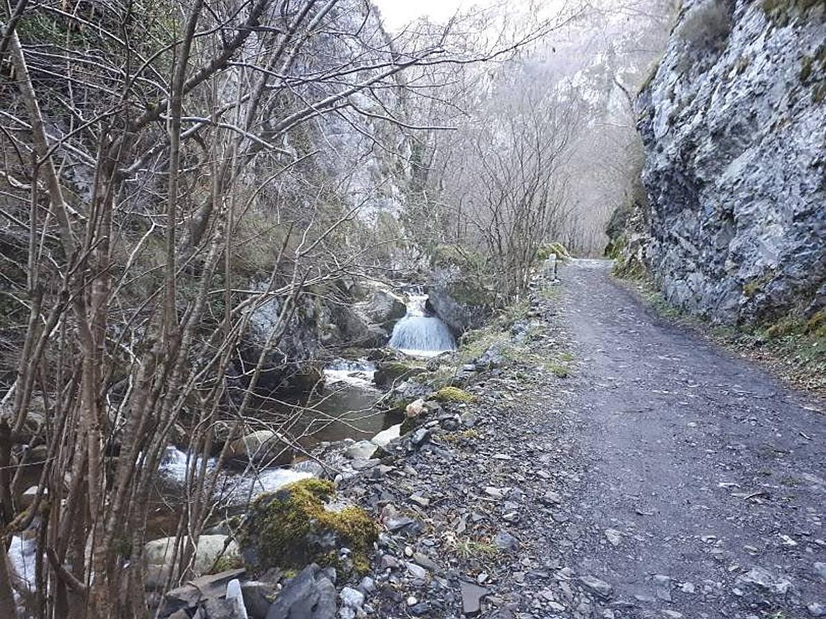 Fotos: Una caminata con encanto por la Ruta de Los Arrudos | El Comercio: Diario de Asturias